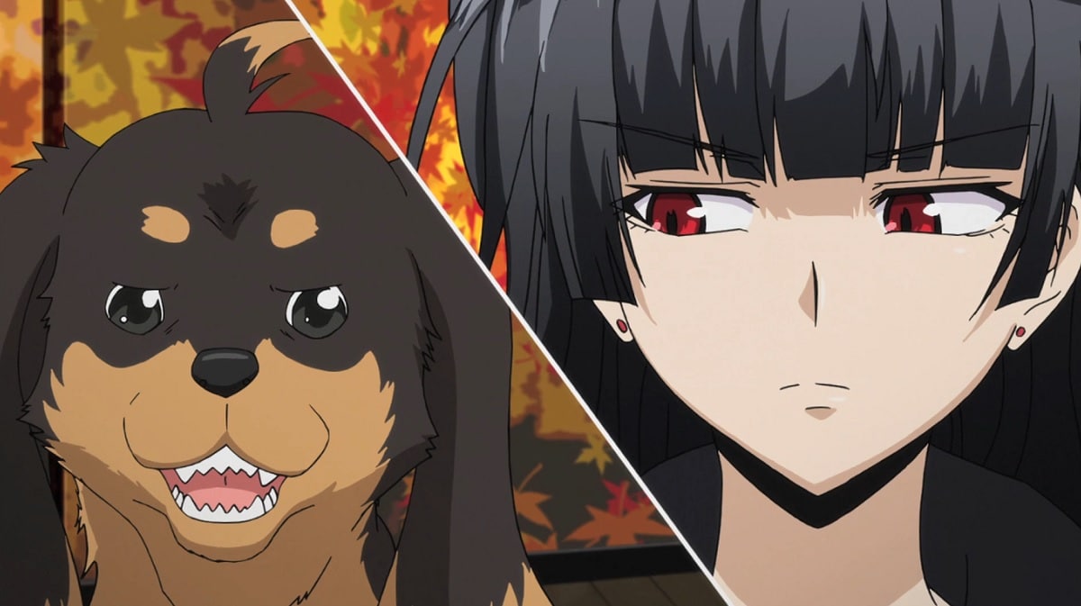 11 Anime With Animal Main Characters