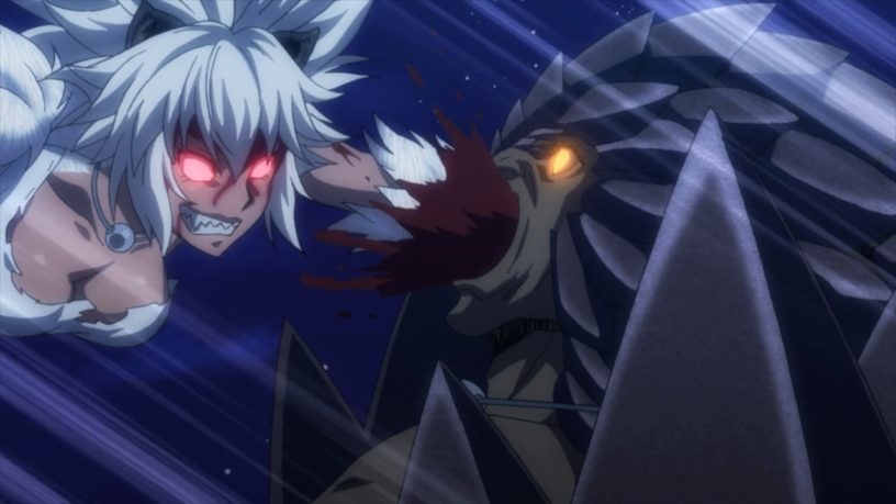 Kemonomimi Craze – 25 Anime Series Featuring Beast People