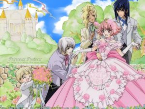 15 Shoujo Anime Where a Girl is Protected By Handsome Guardians