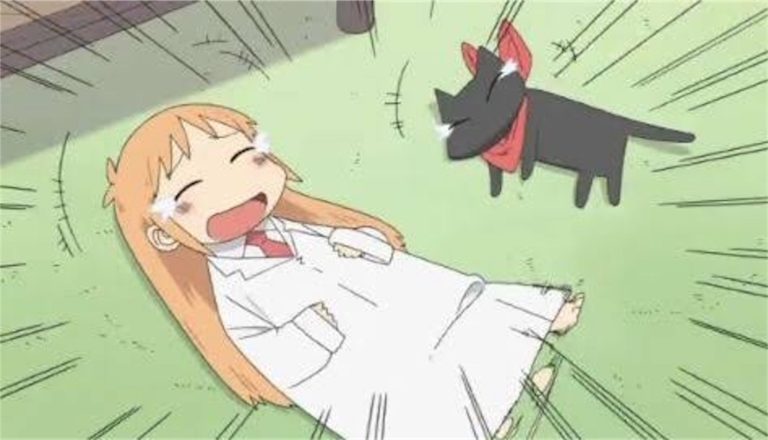 14 Pet Anime About The Daily Lives of Animals