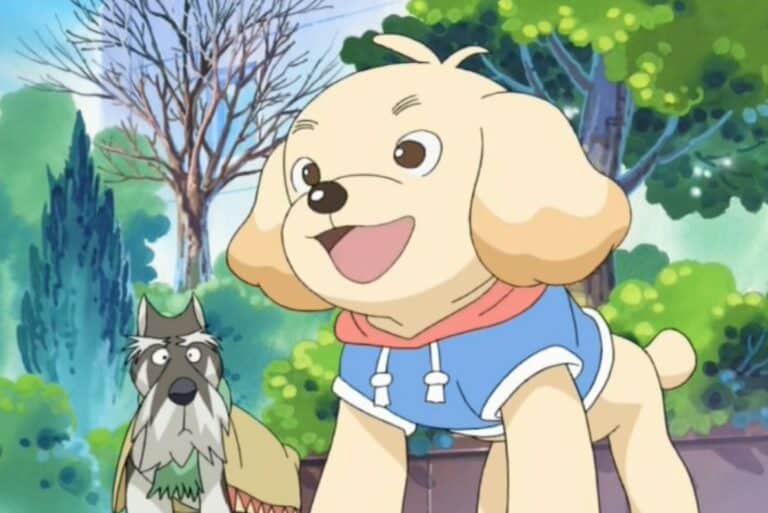 14 Pet Anime About The Daily Lives of Animals