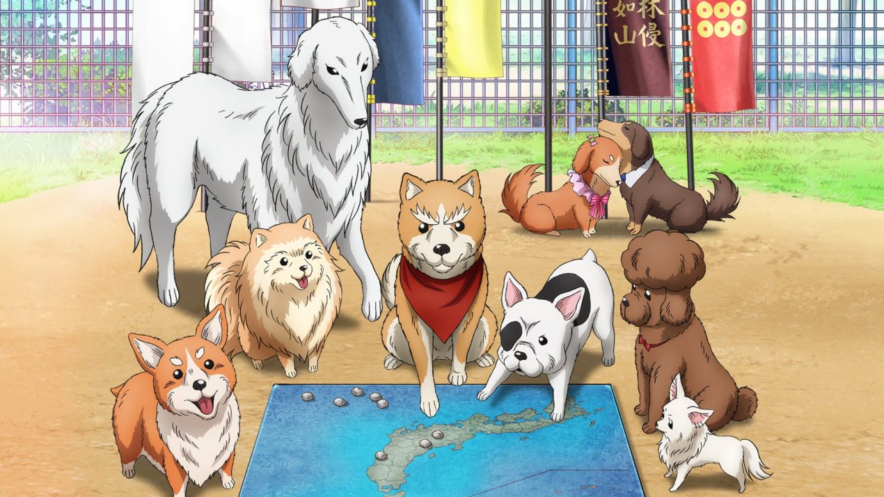 14 Pet Anime About The Daily Lives of Animals